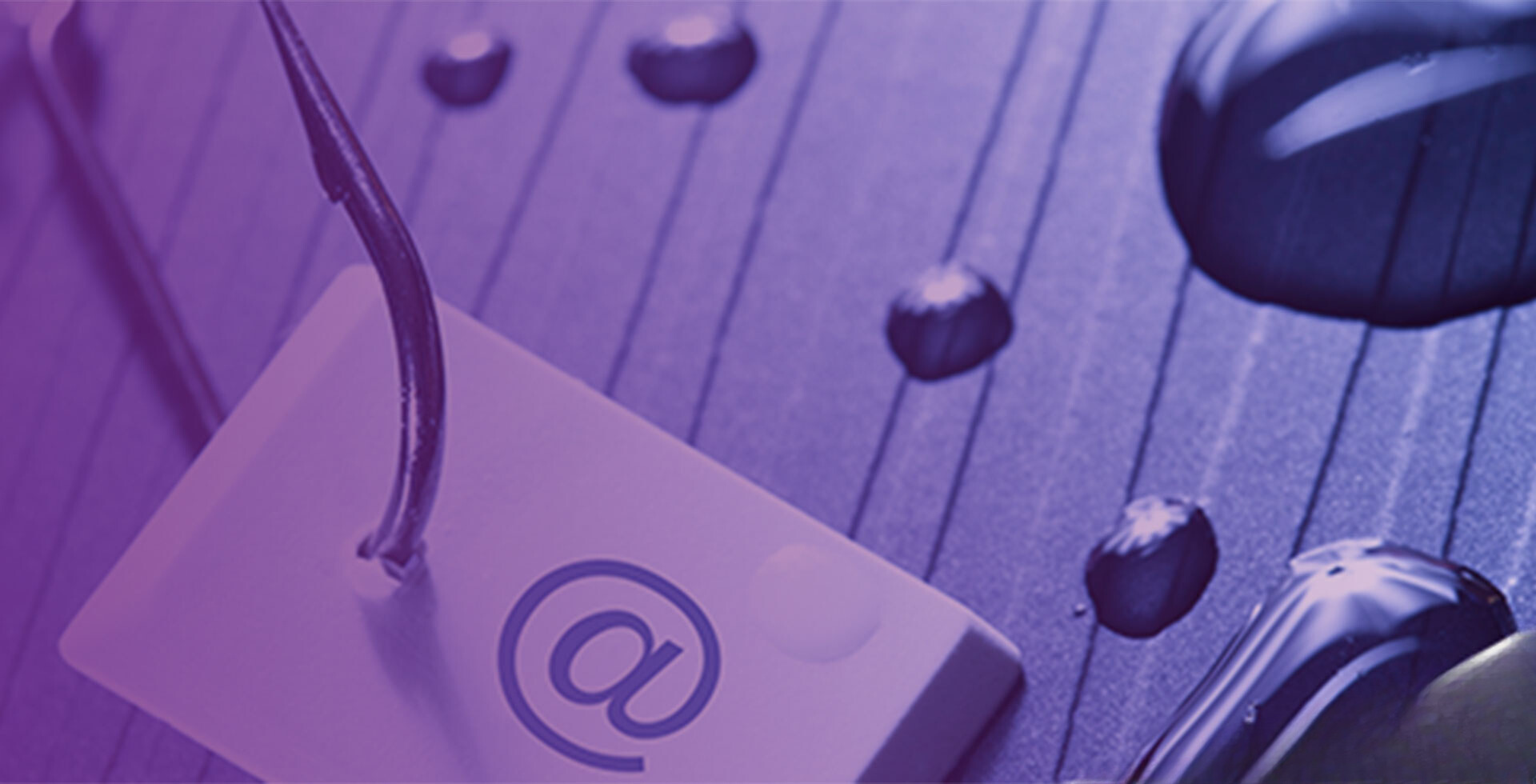 Blog | When something is “phishy”: what you need to know | GBM